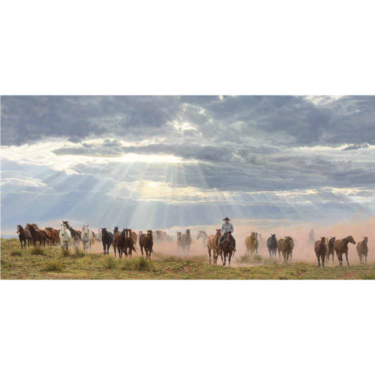 Tim Cox Fine Art | Western Paintings | Cowboy Horse Paintings