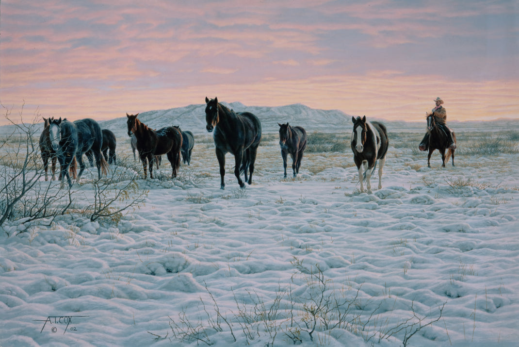 Tim Cox Fine Art | Western Paintings | Cowboy Horse Paintings