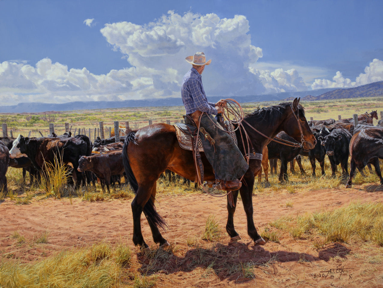 Tim Cox Fine Art | Western Paintings | Cowboy Horse Paintings