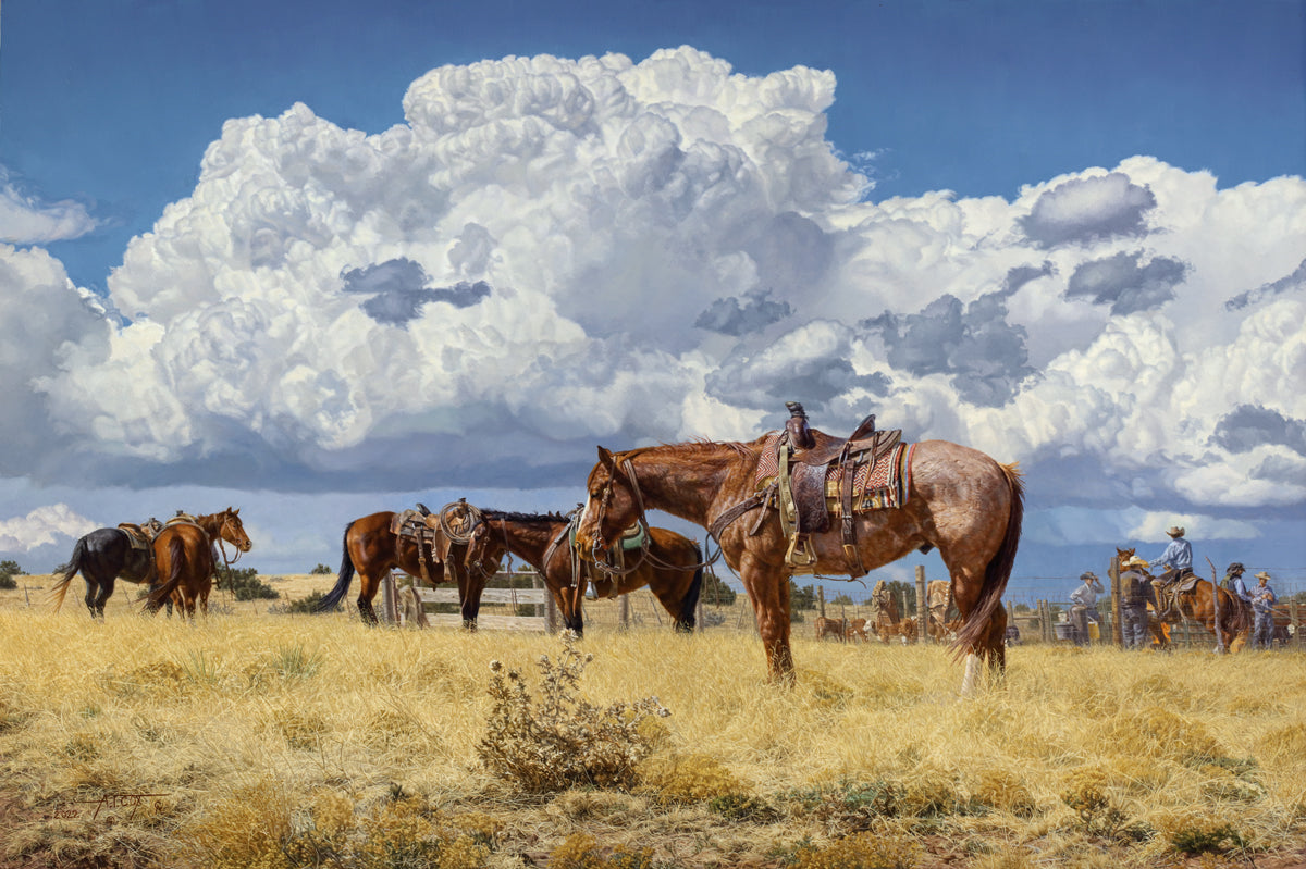 Tim Cox Fine Art | Western Paintings | Cowboy Horse Paintings