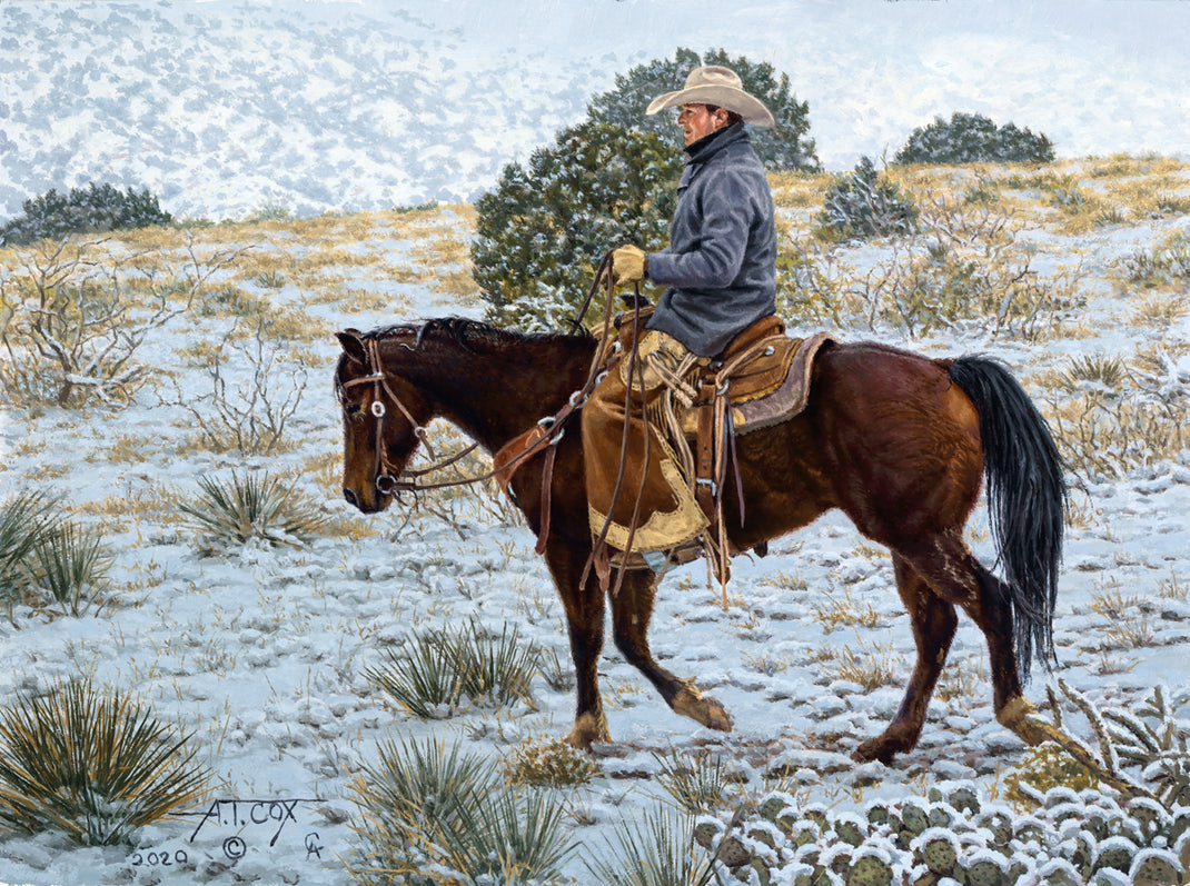 Tim Cox Fine Art | Western Paintings | Cowboy Horse Paintings