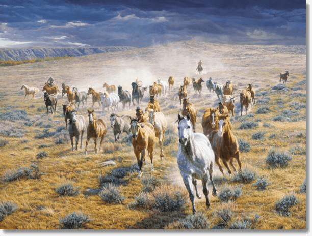 Rumbling Thunder – Tim Cox