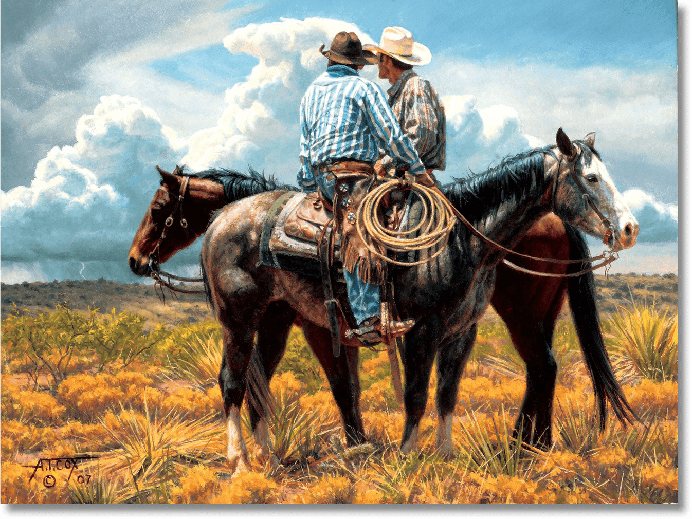 Hoping For Rain – Tim Cox